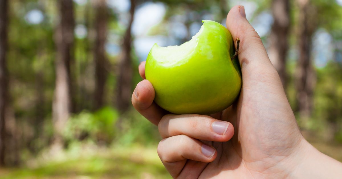 Fünf Fakten über den Apfel: Ein alter Bekannter ist richtig modern ...