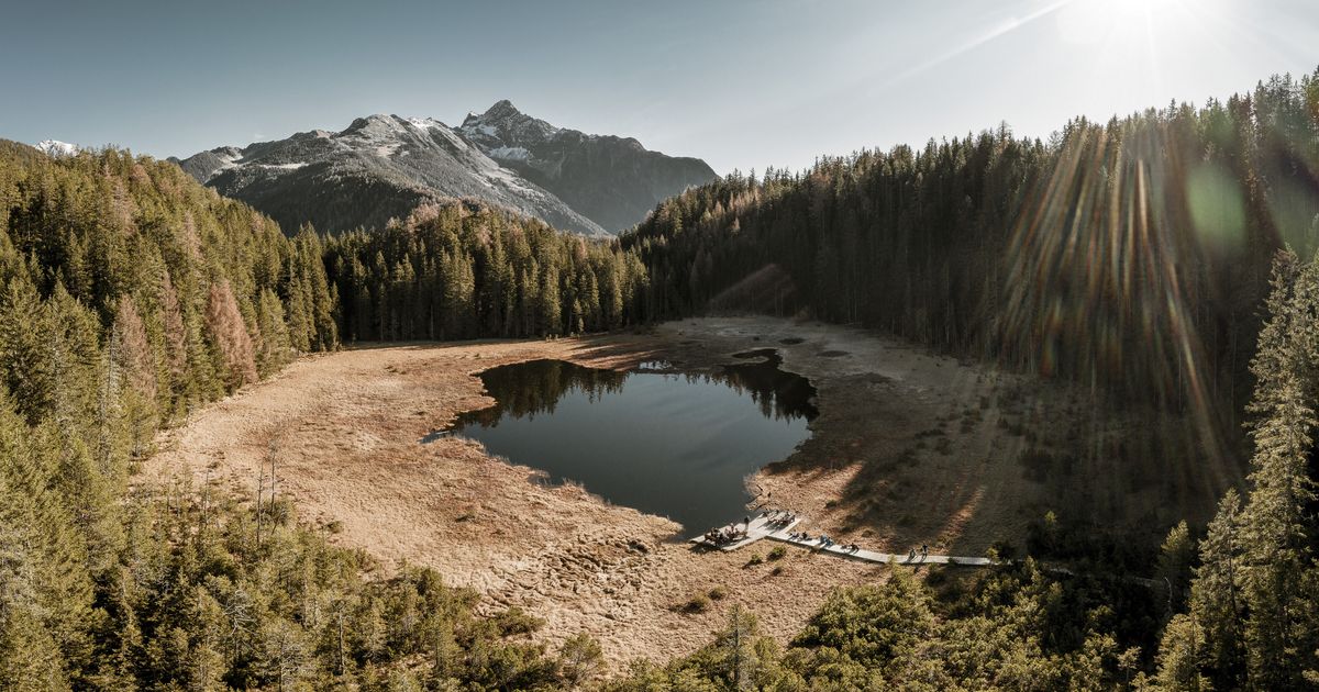 Alle Zeichen stehen auf „Grün“: Haiming will mehr Naturschutz | Tiroler ...