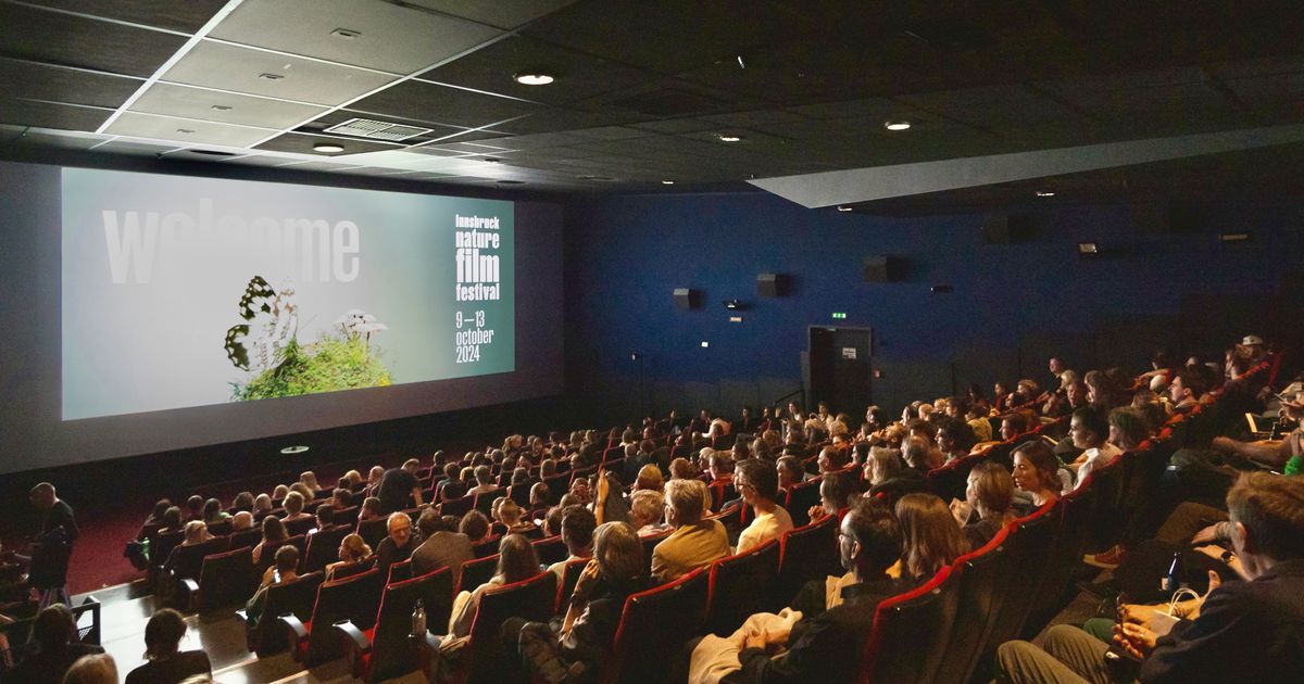 Innsbruck Nature Film Festival: Diese Filme holten die diesjährigen ...