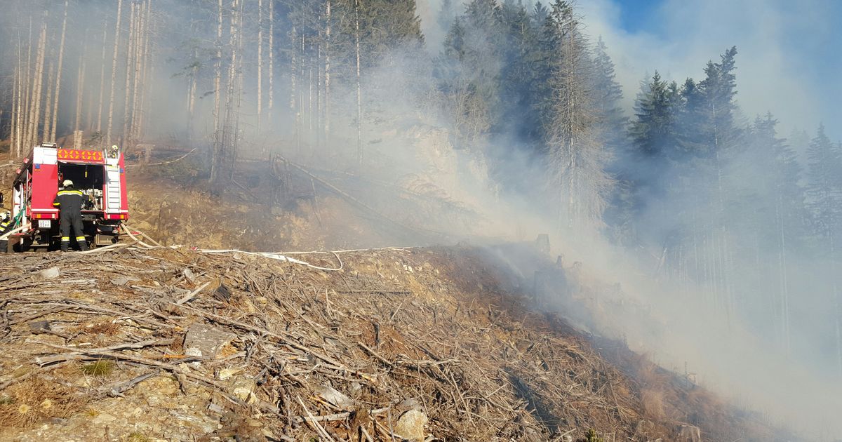 Waldbrandgefahr in Österreich: Trockenheit betrifft auch Tirol | Tiroler Tageszeitung – Aktuelle ...